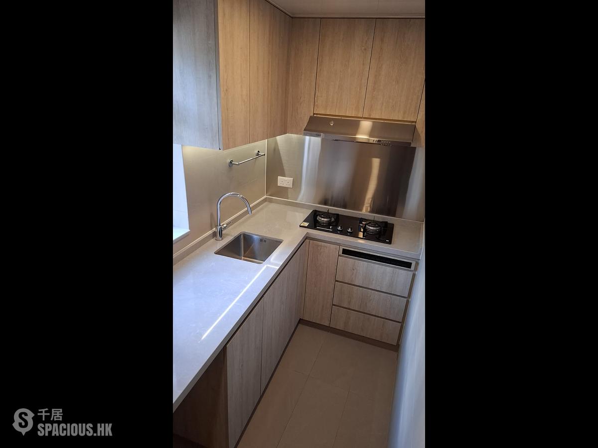 For Rent - Wing Cheung Mansion, 1 Bed, 499 Sqft (ID:14591040)｜spacious.hk