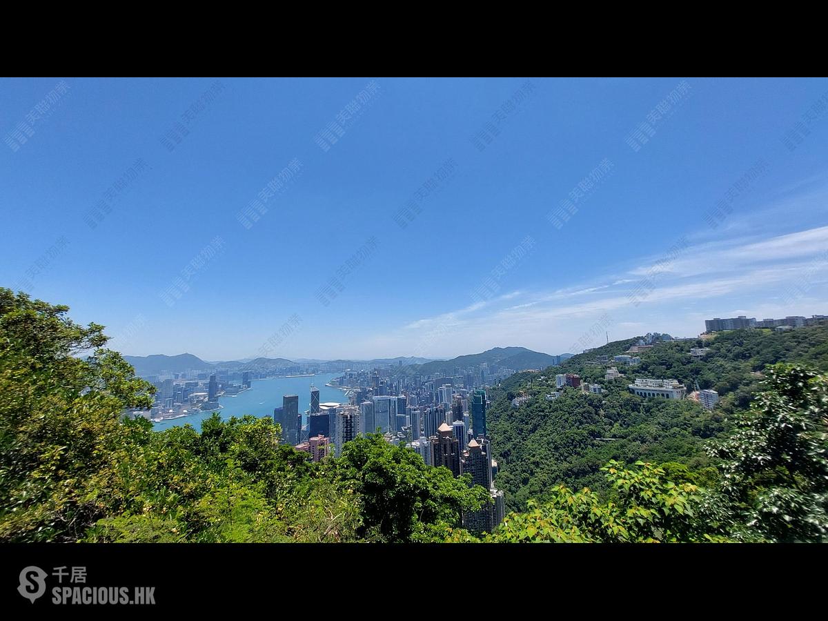 For Rent - The Mount Austin, 4 Bed, 3787 Sqft (ID:14607562)｜spacious.hk